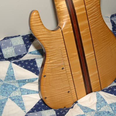 1993 Scott Ambush 5-String Bass | Reverb