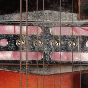 Vintage Lindell Mandolin(Electric) | Reverb