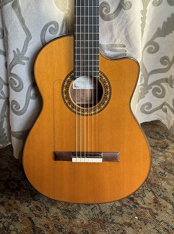 2020 Francisco Navarro CD/PE-CW With Barbera Pickup | Reverb