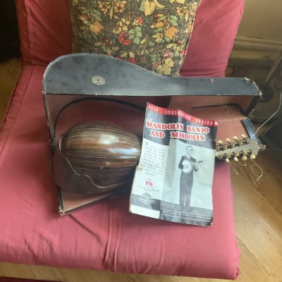 Mandolin Brothers Stridente 1905-1915 | Reverb