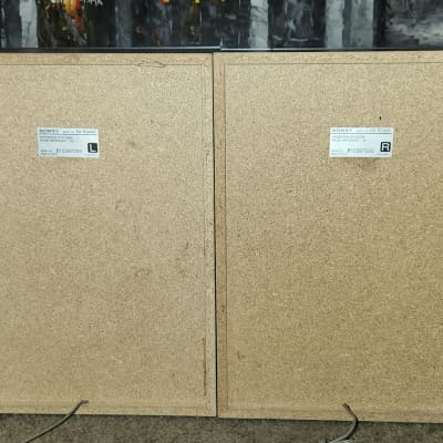 Sony Sony SS-RG440 Hybrid Dual Woofer Speakers 90s | Reverb