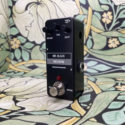 Mr. Black Mini Reverb | Reverb