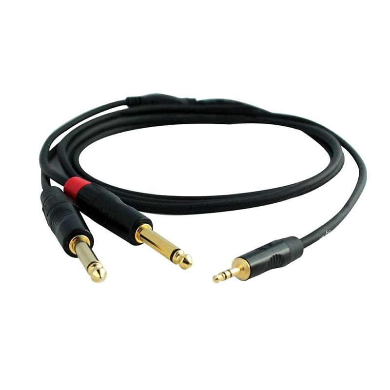 Digiflex HIN-1K-2P-6, 1/8 Male to 2 x 1/4 Male, 6 feet | Reverb