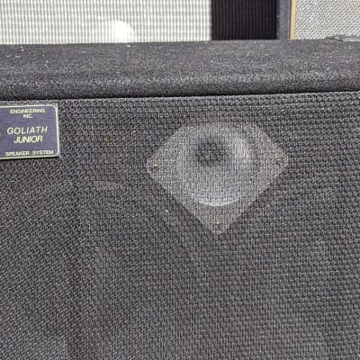SWR Goliath Jr II 2x10" Bass Cab 1990s | Reverb