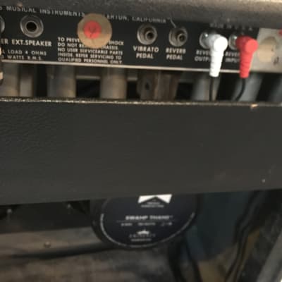 Fender Dual Showman Reverb Combo | Reverb