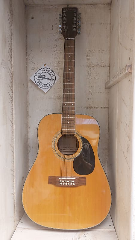 Encore 12 string dreadnought | Reverb UK