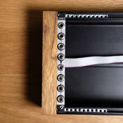 Patching Panda Copycat Buffered Mult Module (with | Reverb UK