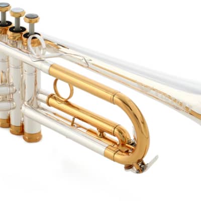 BAC Musical Instruments Handcraft Series Paseo Professional | Reverb