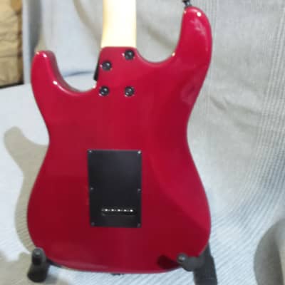 Kiesel delos 2020"s - red poplar burl top | Reverb