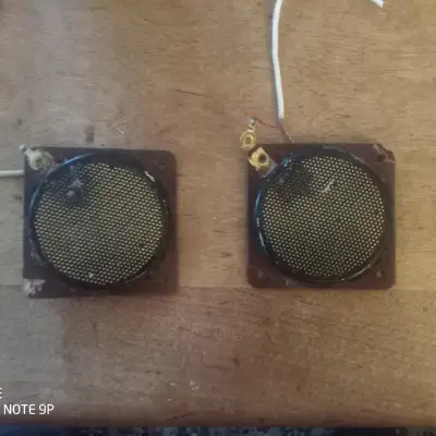 1960's Isophon LSH75 1950's Electrostatic Tweeters Pulled | Reverb