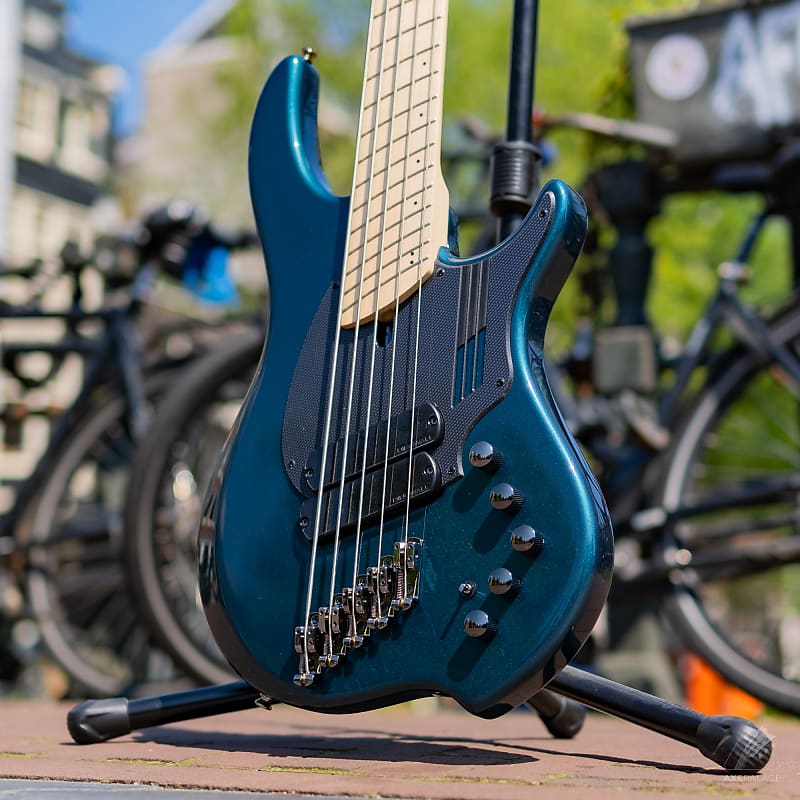 Dingwall NG2 5-String Adam “Nolly” Getgood Signature Bass | Reverb