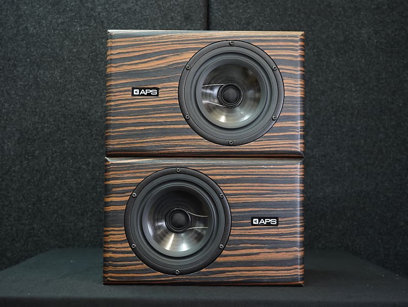 APS Coax Dual-Concentric Active Monitors (Ex Demo, | Reverb Australia
