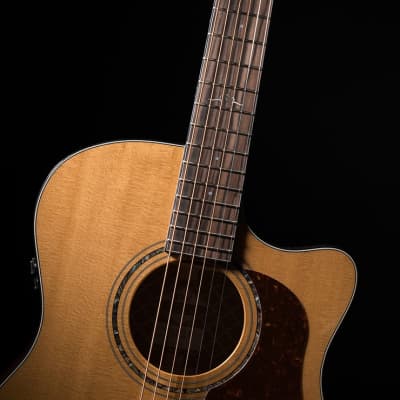 Cort Gold Series A6 Auditorium w/ Fishman Flex Blend | Reverb