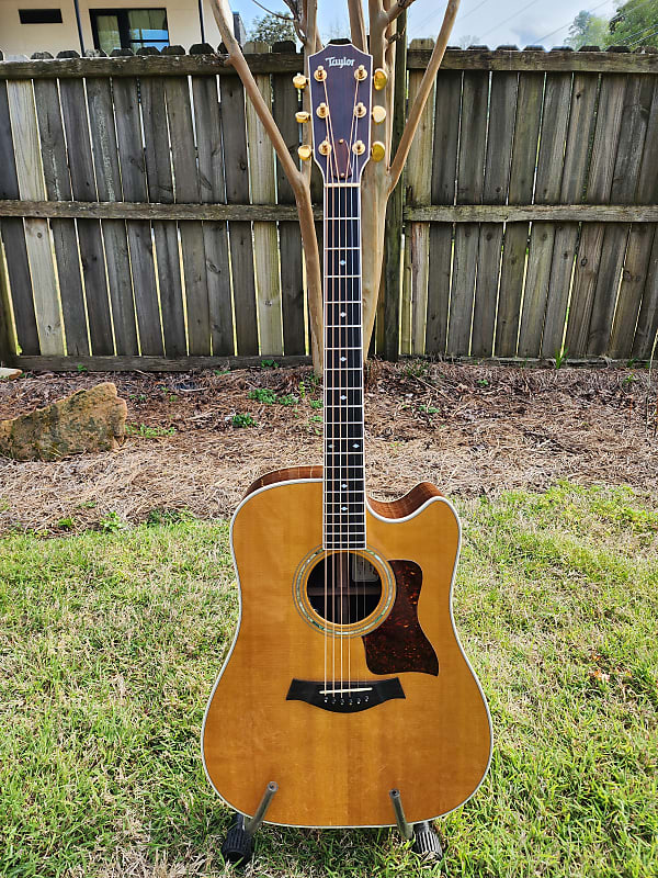 1995 Taylor Dan Crary Signature Acoustic Guitar | Reverb