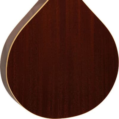 Gold Tone OM-800+ A-Style Acoustic-Electric Octave Mandolin, | Reverb