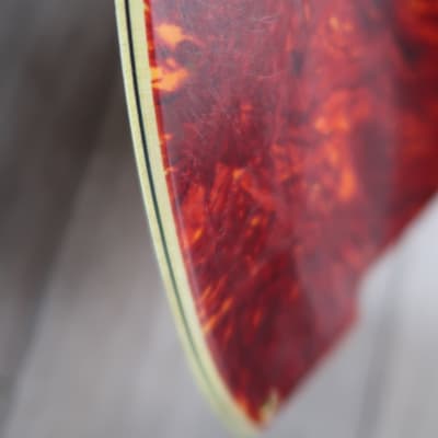 Fender Telecaster tortoise celluloid pickguard tele guard USA | Reverb