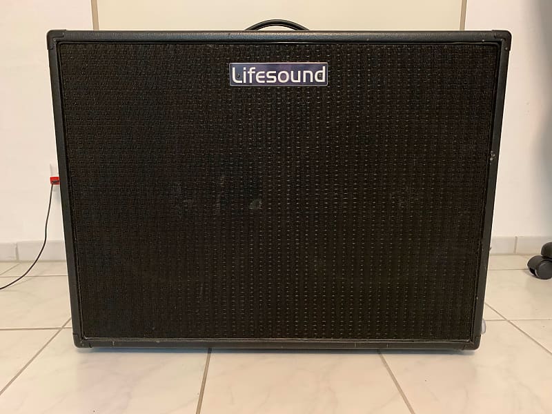 Lifesound Cabinet 2x12 Unloaded 2006 - Black | Reverb