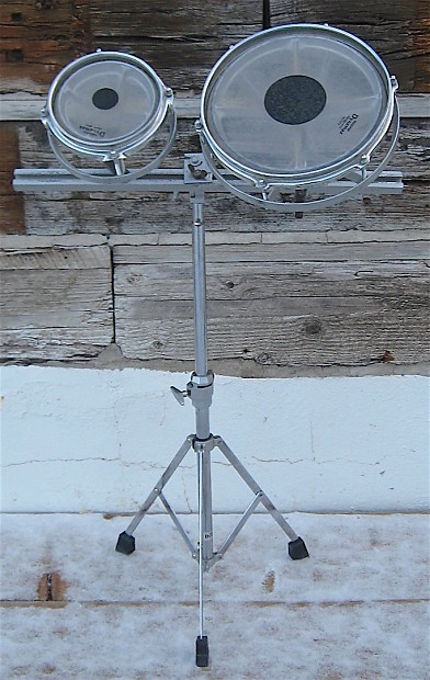 Remo (2) Rototoms | Reverb