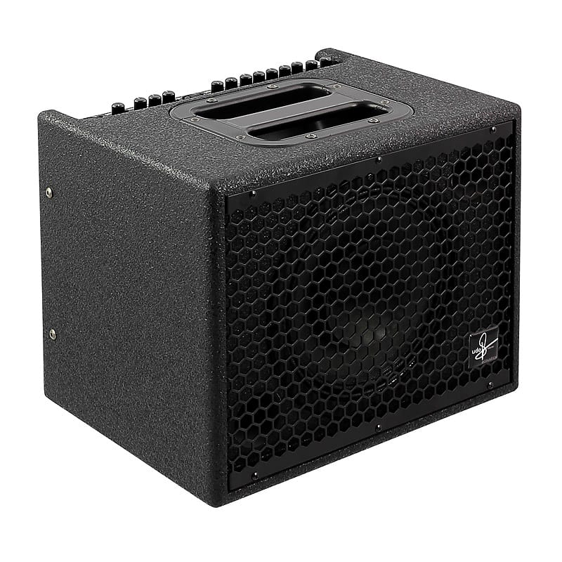 Udo Roesner Da Capo 75 Acoustic Guitar Amp | Reverb