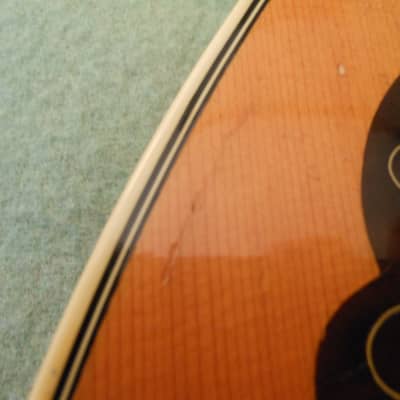 German made FRAMUS Mandolin 1965 - no damage! Beautiful. | Reverb