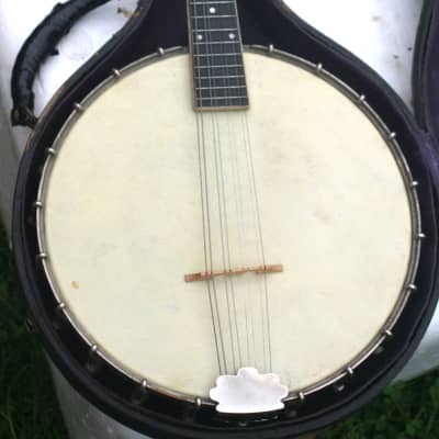 1920s WEYMANN & Sons Keystone State model 50 Banjolin banjo | Reverb