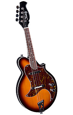 Kentucky Electric 4-string Mandolin | Reverb