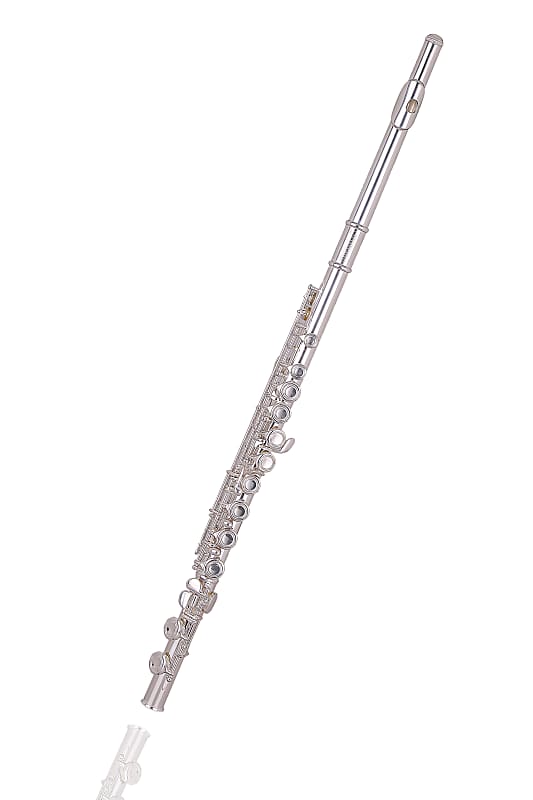 Wisemann 0901FL flute, 16hole, silver plated finish, with | Reverb