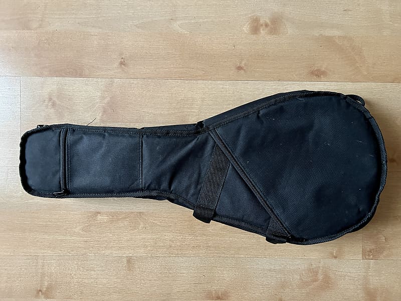 Acoustic Mandolin Gig Bag - Black | Reverb