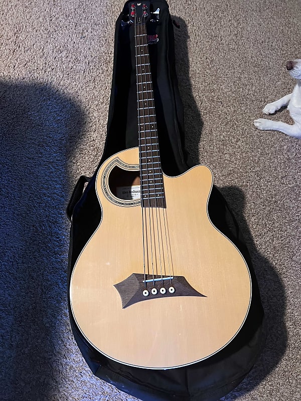 Warwick Alien Acoustic Bass 2010's Natural | Reverb