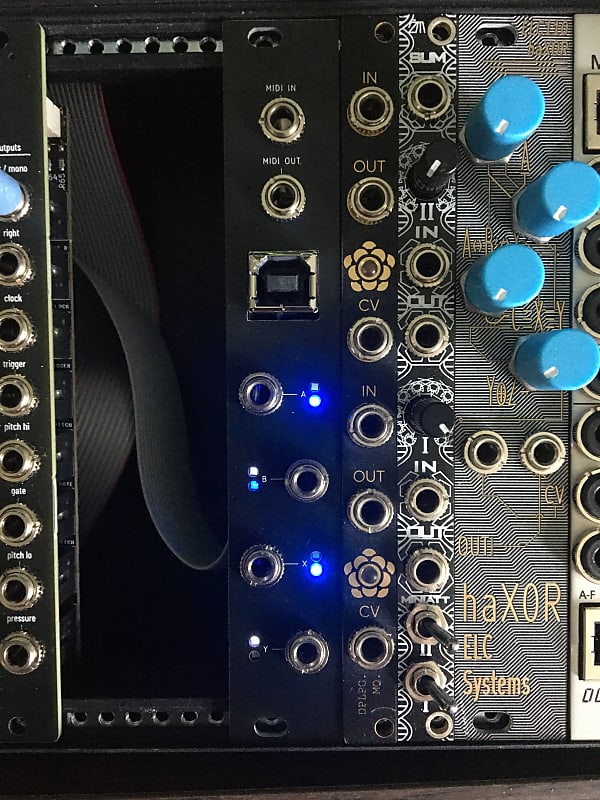 Plinky 4hp Expander (2 of 3, white/blue LEDs) - Black | Reverb