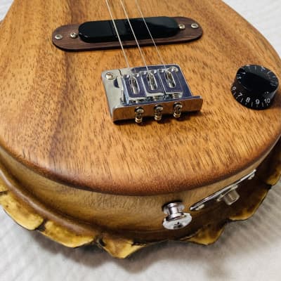 Turtle shell fretless slide guitar - 3 string | Reverb