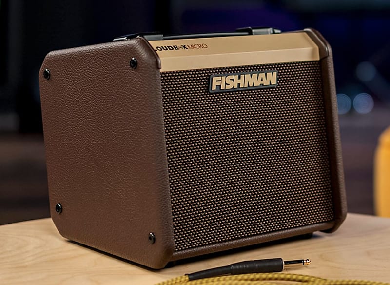 Fishman Loudbox Micro 40 Watt Acoustic Guitar Amp | Reverb