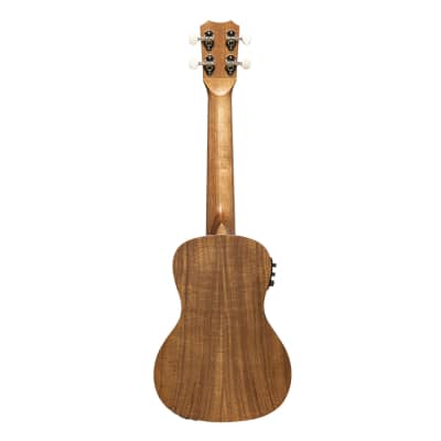 Islander Electric-Acoustic Traditional Concert Ukulele With | Reverb