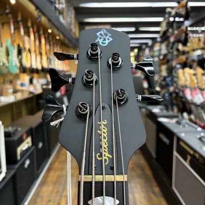 Spector Euro 5 LX Electric 5-String Bass Guitar Haunted Moss | Reverb