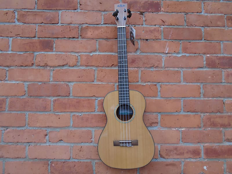 Kala KA-ACAC-Bariton ukulele w/bag | Reverb Australia