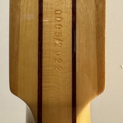 Camazon Explorer 2022 - Poplar Burl Headless 5 String Bass | Reverb