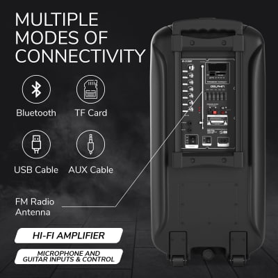 Dolphin SP-2120RBT arty Speakers - Portable & Rechargeable | Reverb