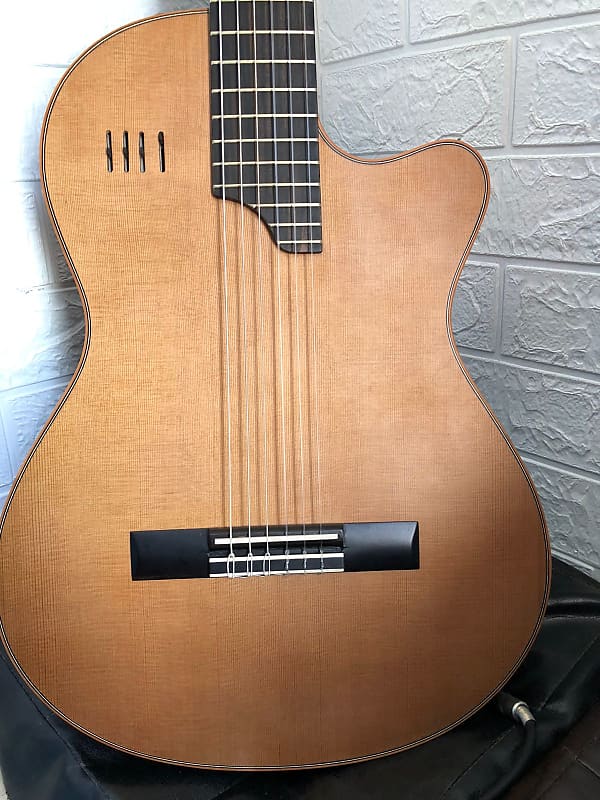 guitar model gibson chet atkins system Paul McGill | Reverb