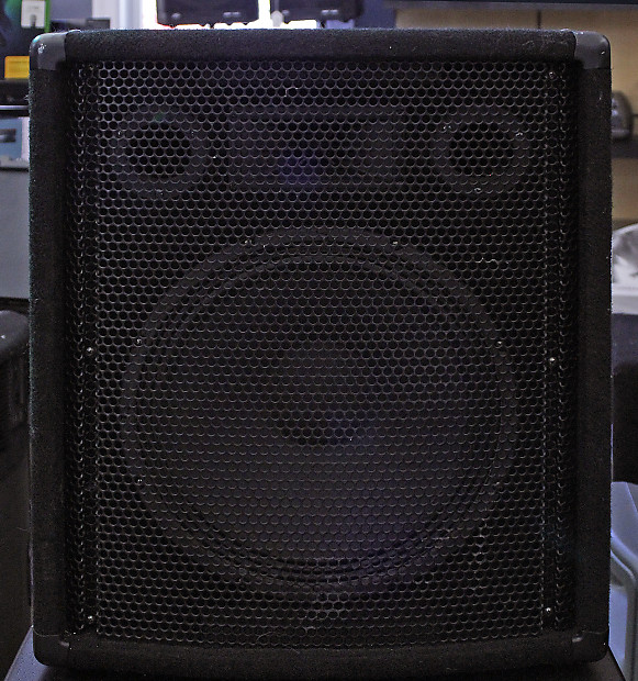 Audio Centron CE-12H 12" Two-way Speaker Enclosure 2000's | Reverb