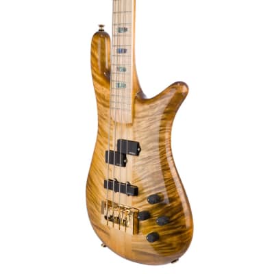 Spector USA Custom NS-2 Bass Guitar - Cinnamon Glow - | Reverb