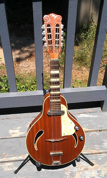 Vintage 60s Hofner E 545 Electric Mandolin Mahogany | Reverb