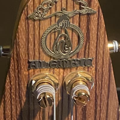 Alembic Rogue 6-string 1996 - Zebrawood - Original | Reverb