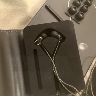 Sennheiser IE 800 In ear monitor earbuds headphones IE-800 | Reverb