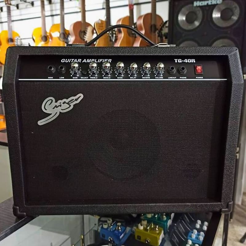 Smiger TG-40R AMP Guitar Player 2-channel 40W | Reverb