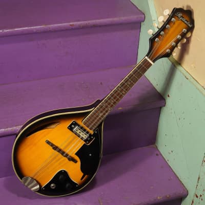 Greco Electric Mandolin, Super Rare | Reverb