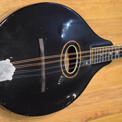 The Dayton Style B mandolin 1910s - black | Reverb Deutschland