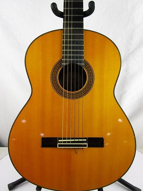 Fender CG11E CG Series Acoustic-Electric Nylon Classical | Reverb