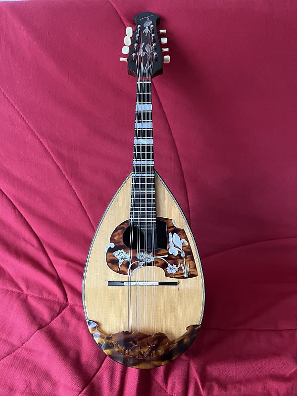 Calace Unknown 1975 | Reverb