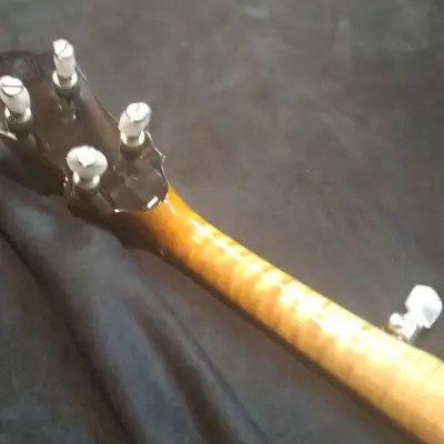 Widman Electric 5-String Banjo - Custom | Reverb