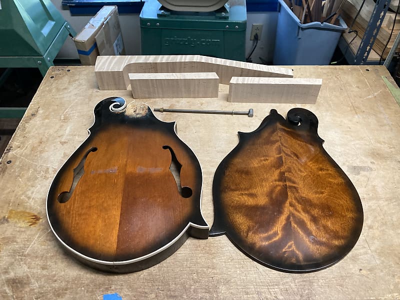 Wynn 3 Point F Style Mandolin body Luthier Project with neck | Reverb